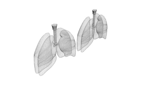 3D Respiratory Set - TurboSquid 1865286