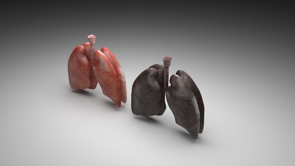 3D Respiratory Set - TurboSquid 1865286
