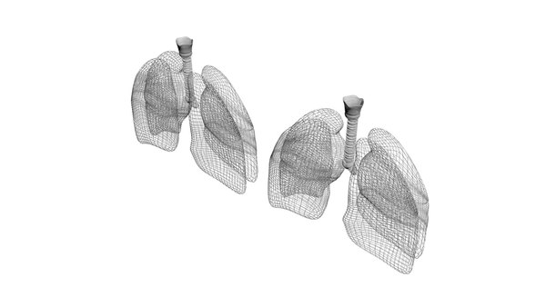 3D Respiratory Set - TurboSquid 1865286
