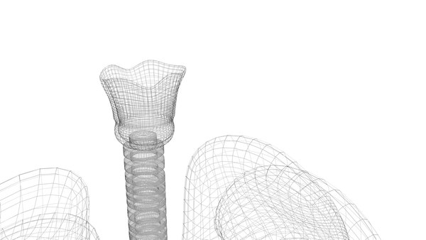 3D Respiratory Set - TurboSquid 1865286