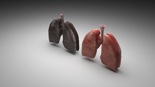 3D Respiratory Set - TurboSquid 1865286