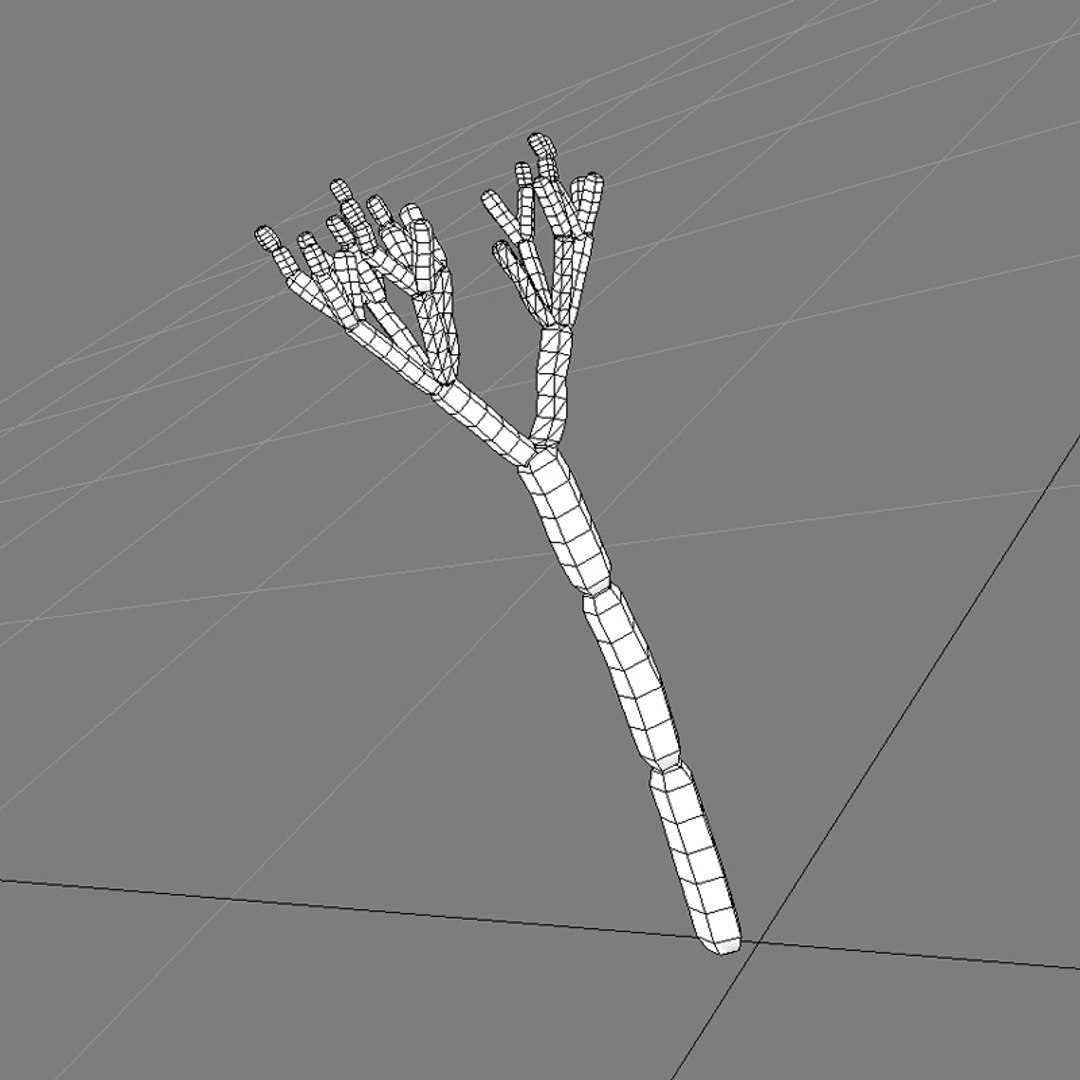 3ds Max Microbes Micro Organisms