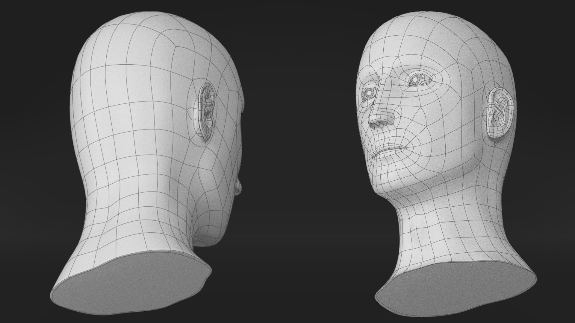 Head Base Mesh Model - TurboSquid 1201463