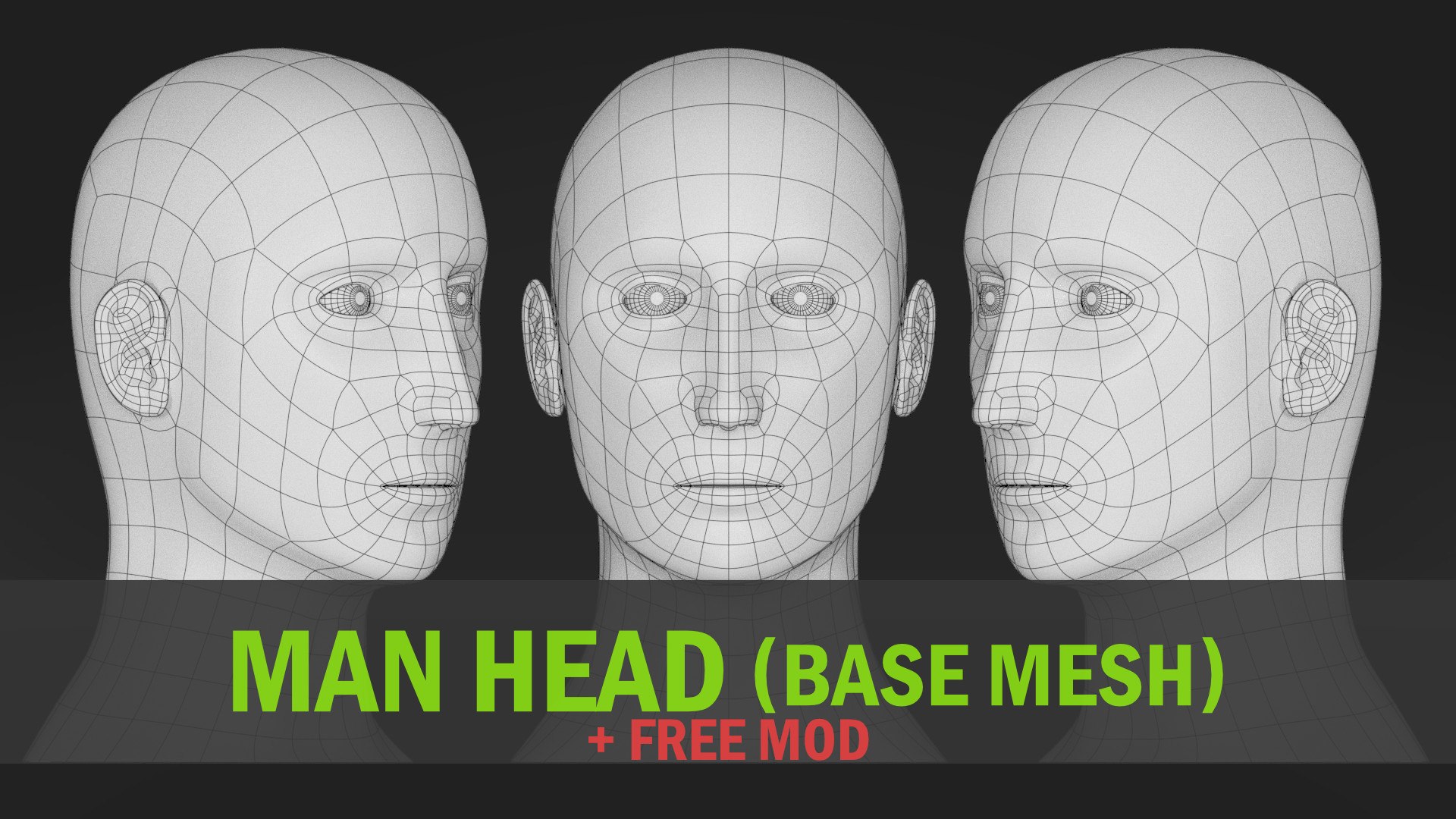Head Base Mesh Model - TurboSquid 1201463