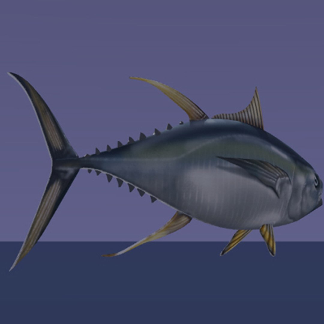 3d Tuna Fishing Model