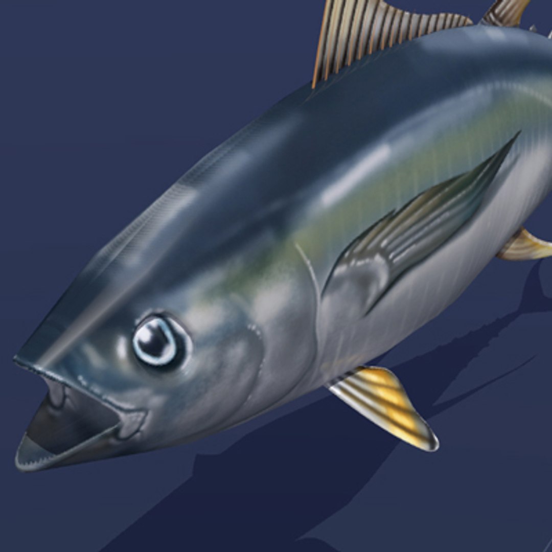 3d Tuna Fishing Model