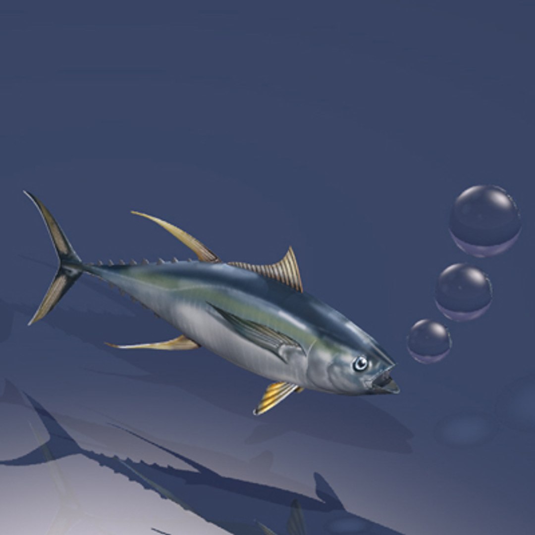 3d Tuna Fishing Model