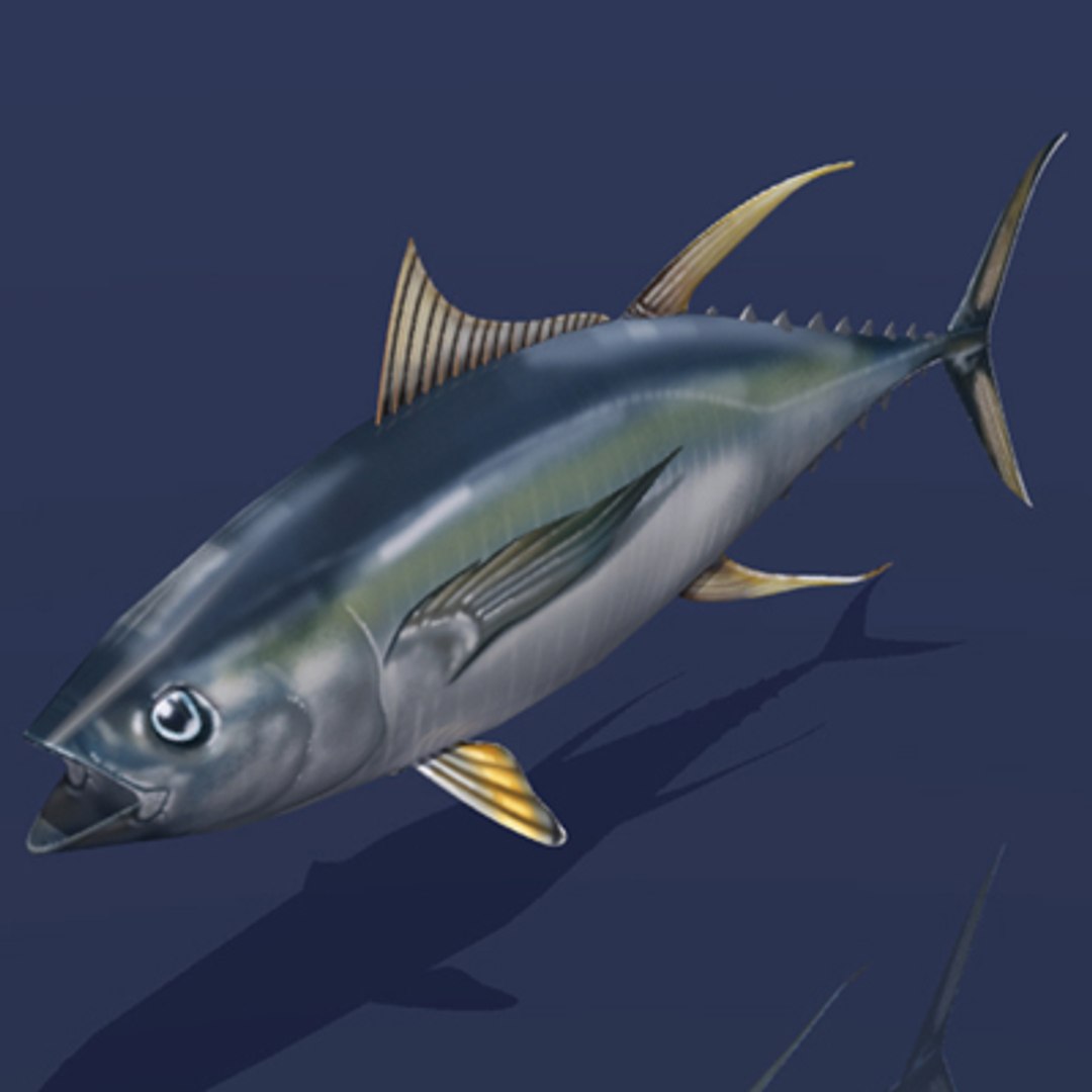 3d Tuna Fishing Model