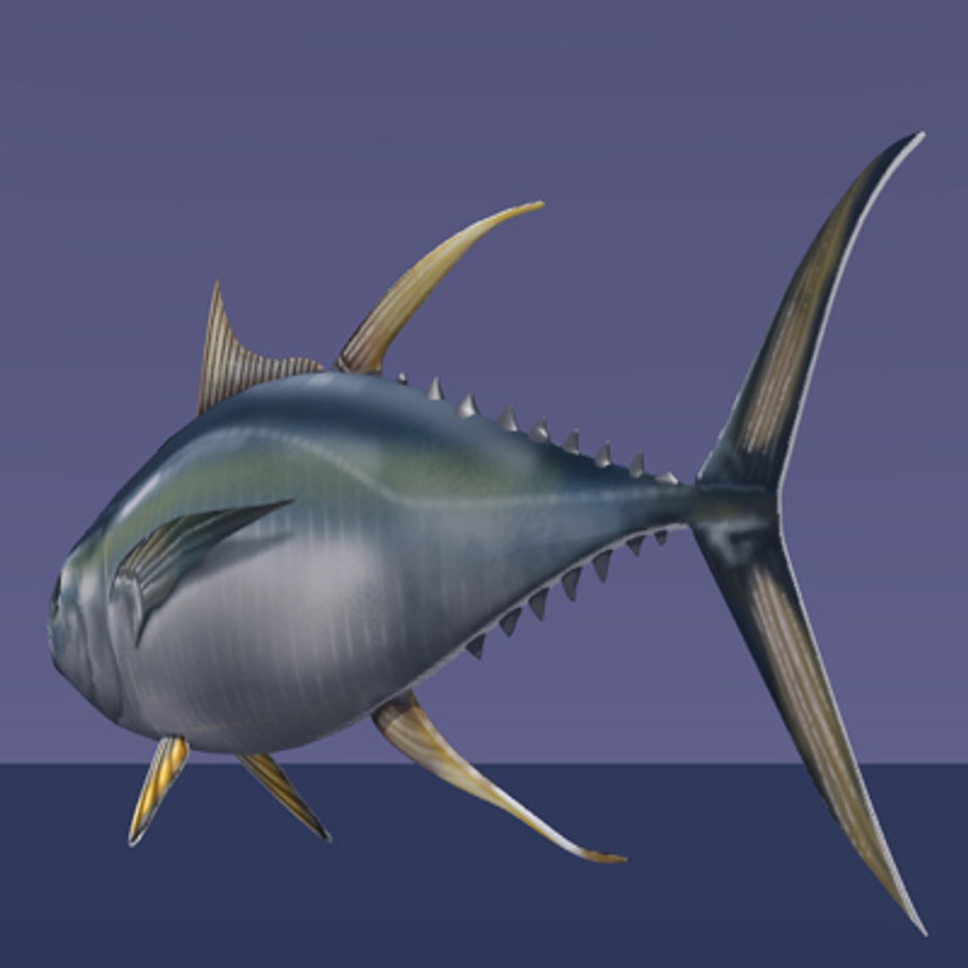 3d Tuna Fishing Model