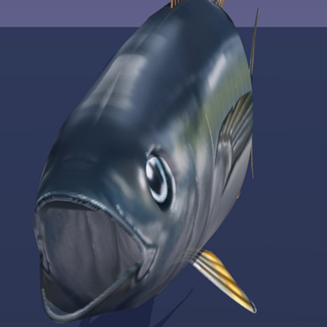 3d Tuna Fishing Model