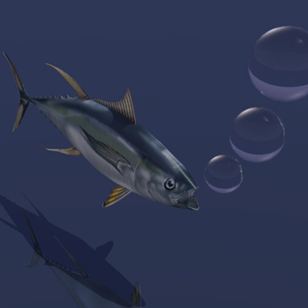 3d Tuna Fishing Model