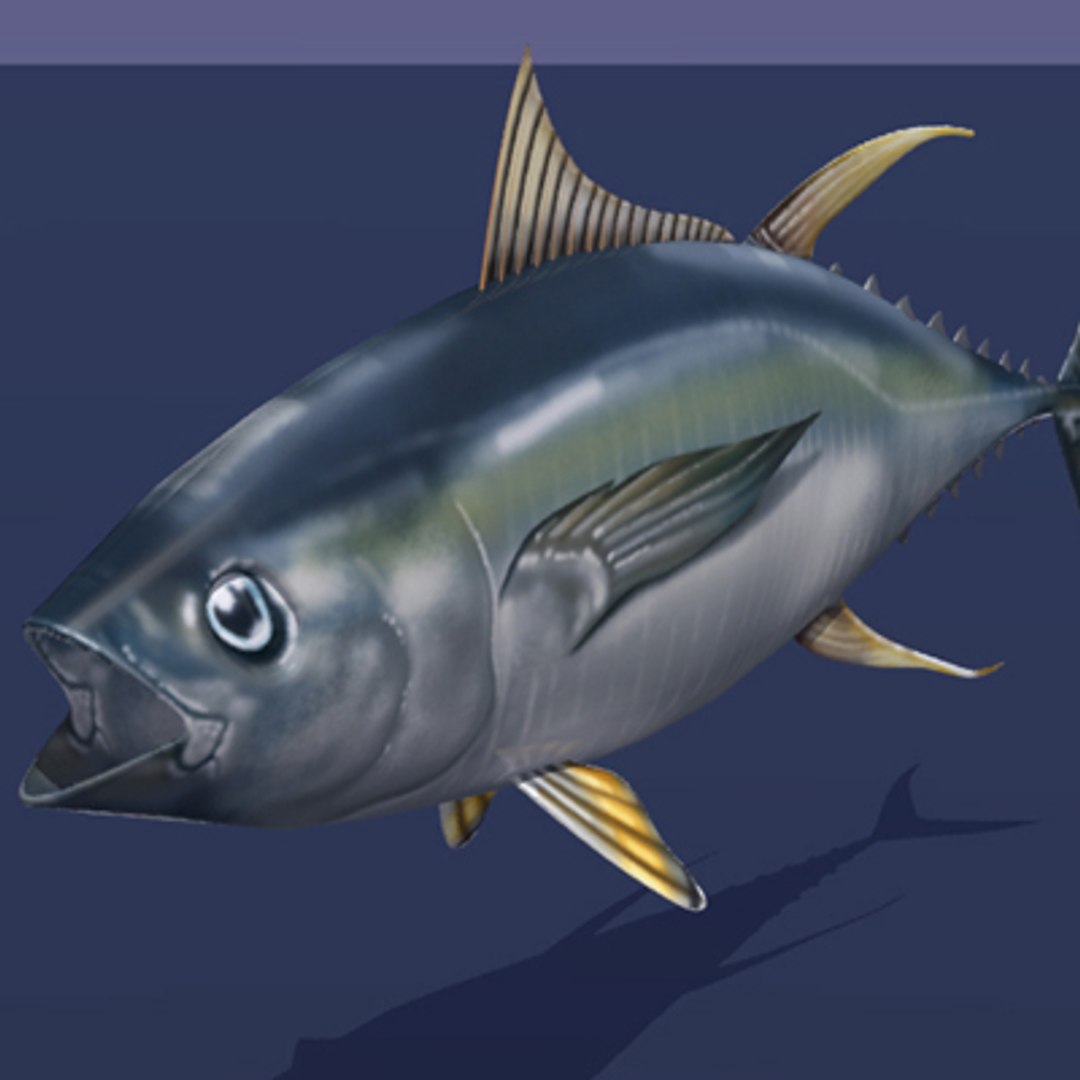 3d Tuna Fishing Model