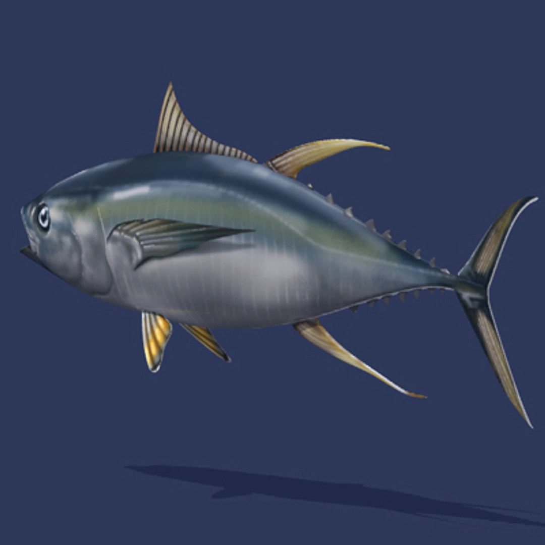 3d Tuna Fishing Model