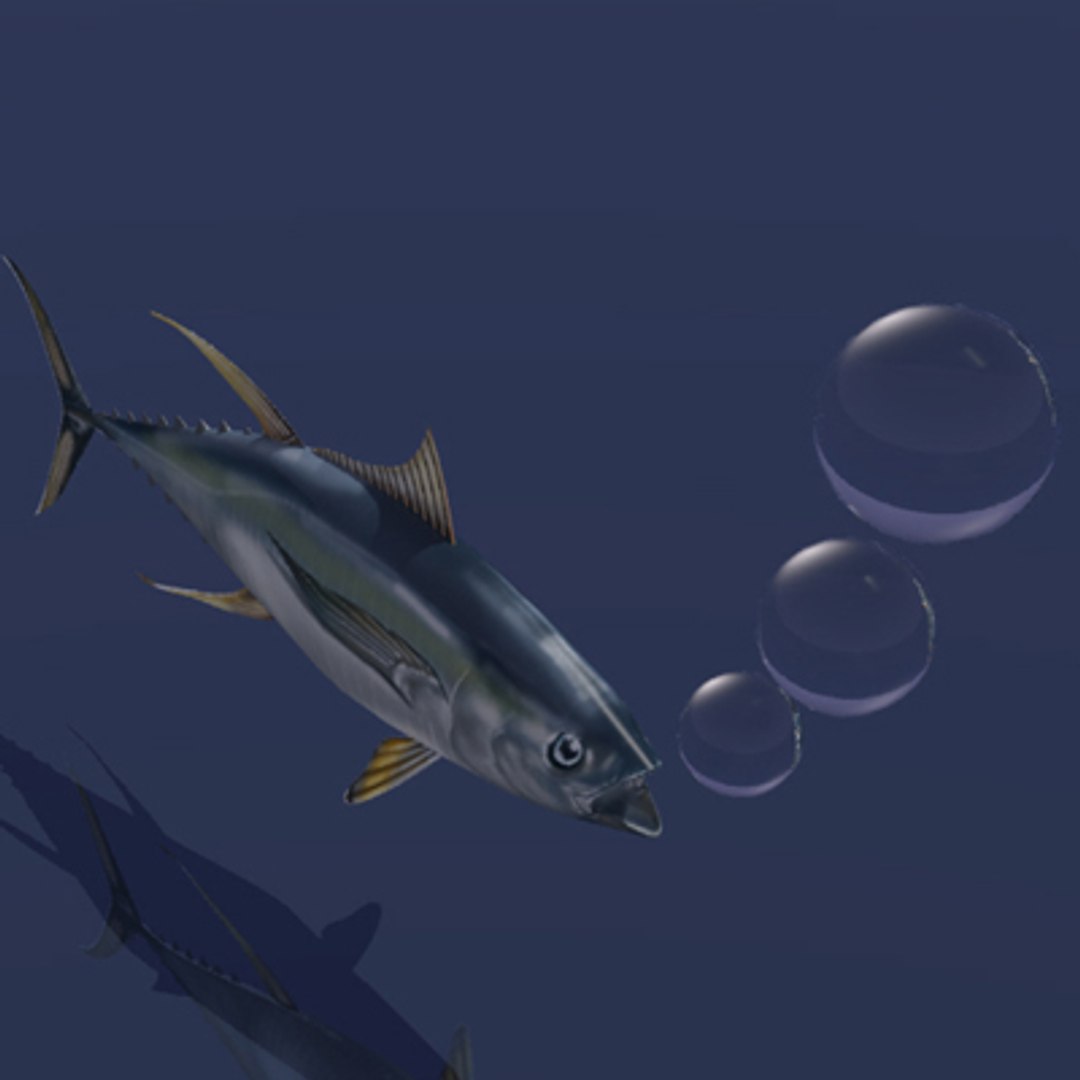 3d Tuna Fishing Model