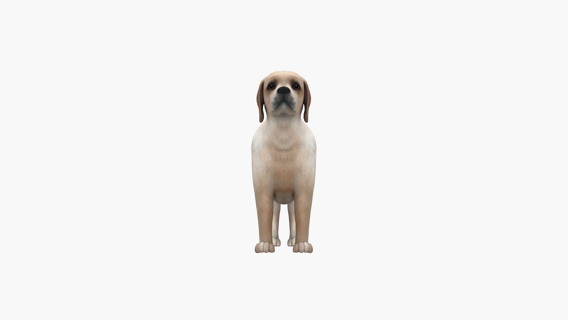 3D Model Puppy - TurboSquid 1837525