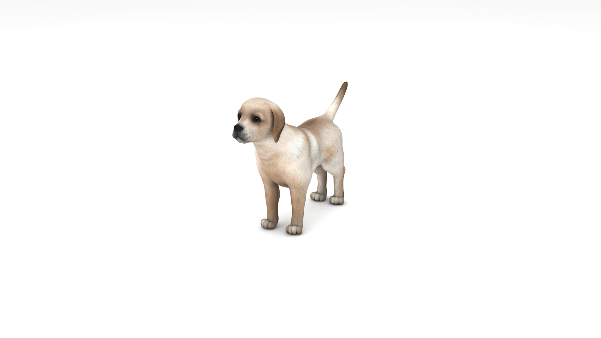 3D model Puppy - TurboSquid 1837525