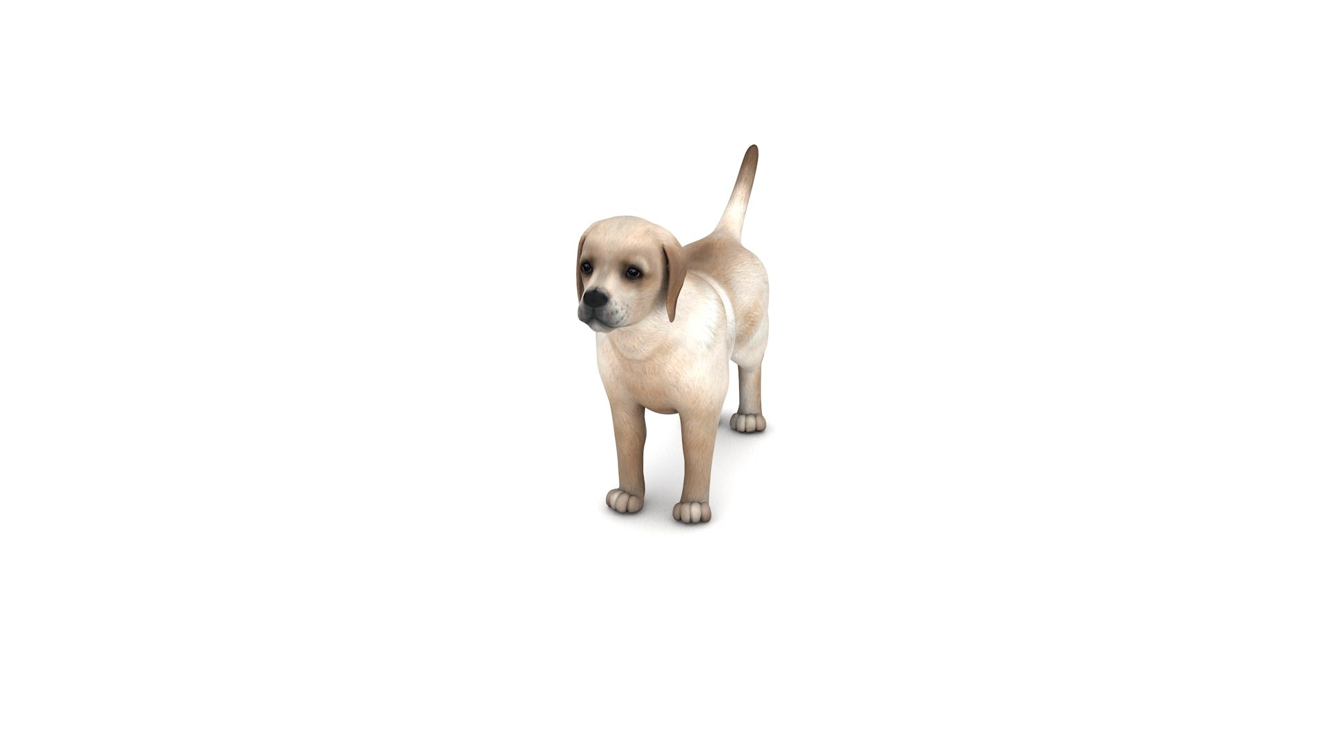 3D Model Puppy - TurboSquid 1837525
