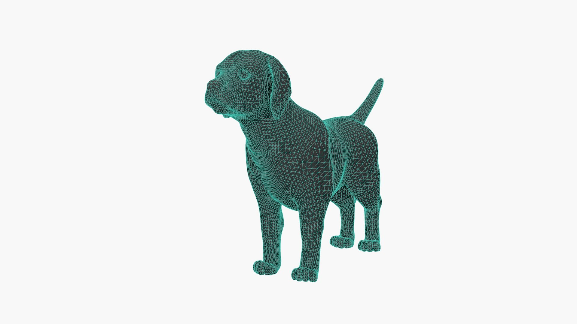 3D Model Puppy - TurboSquid 1837525