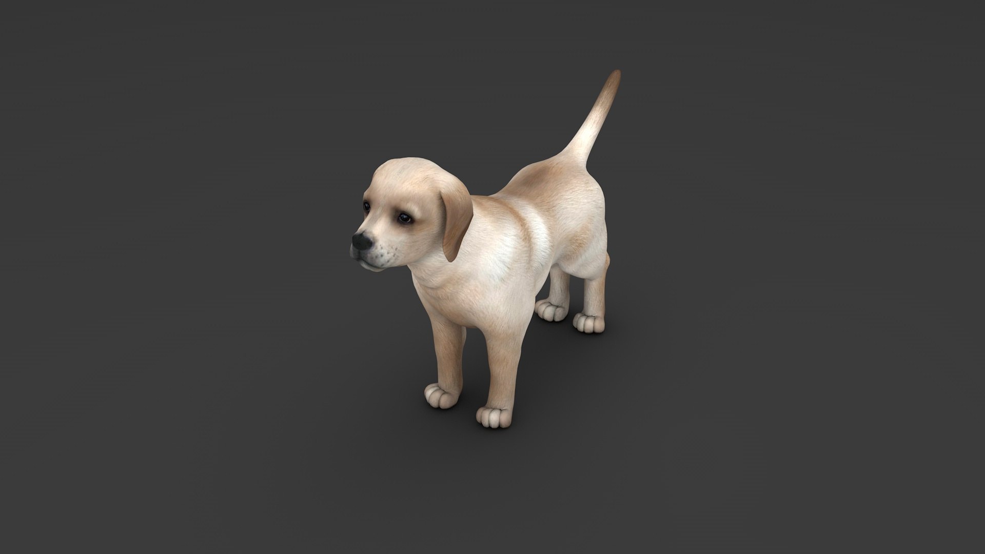 3D Model Puppy - TurboSquid 1837525