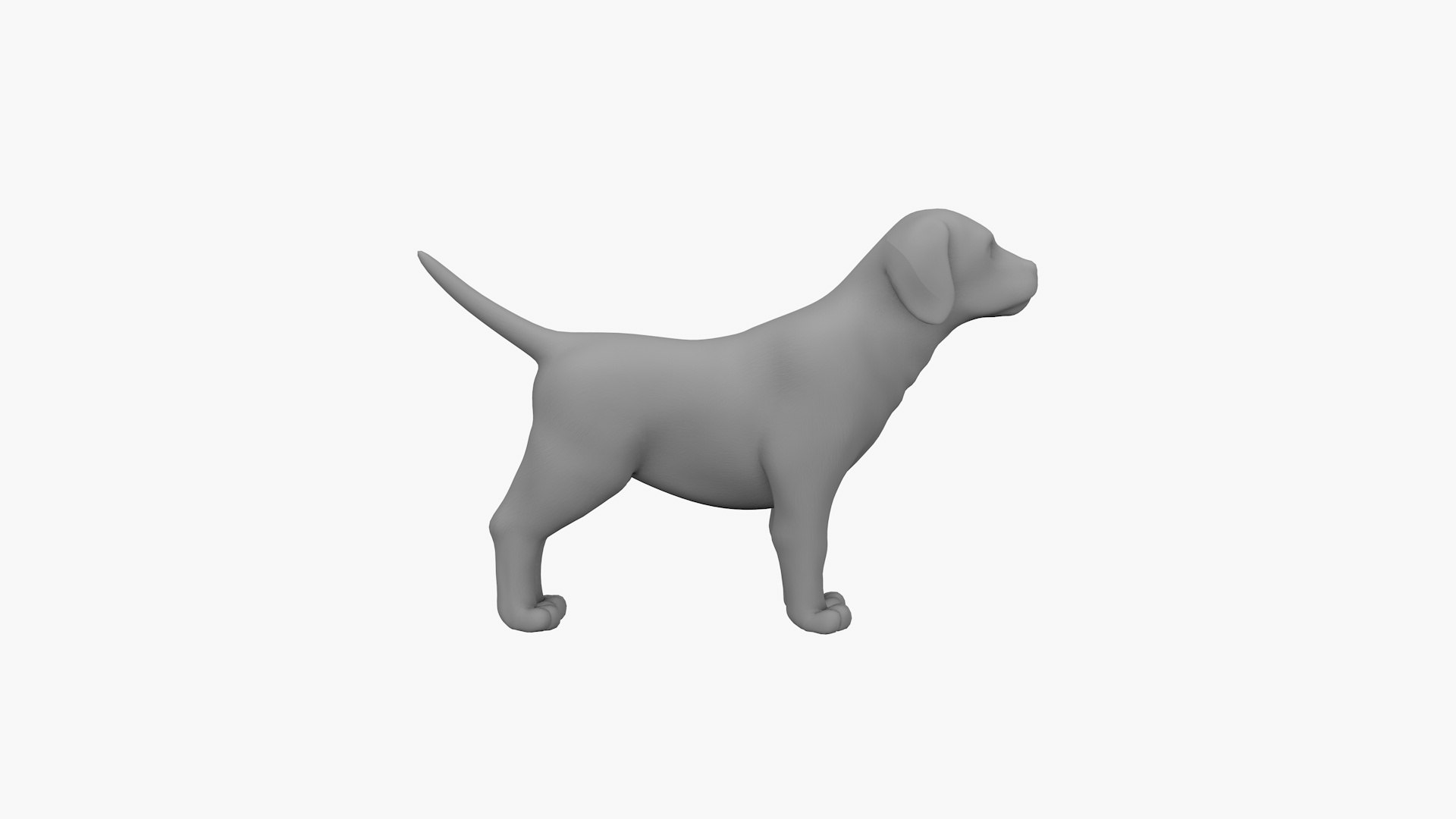 3D Model Puppy - TurboSquid 1837525