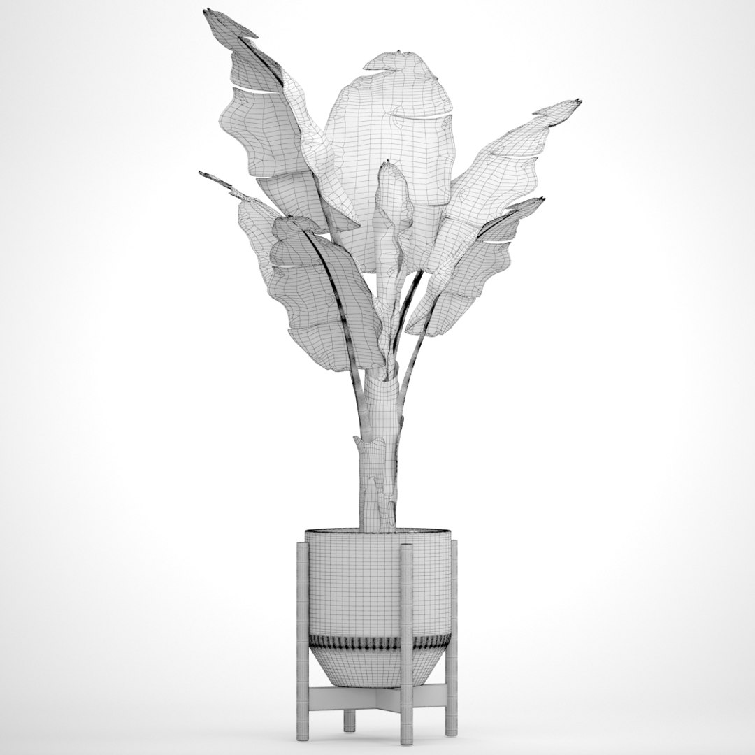 3D Banana Tree Model - TurboSquid 1163026