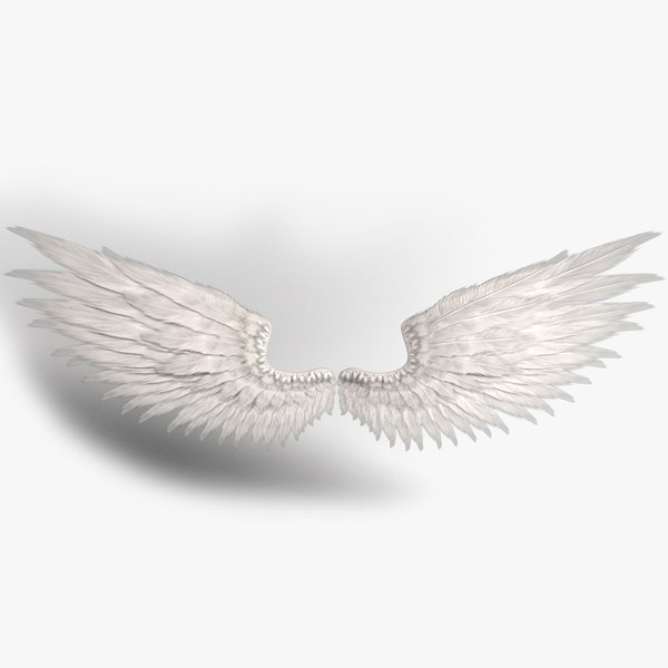 3D Wings Models | TurboSquid