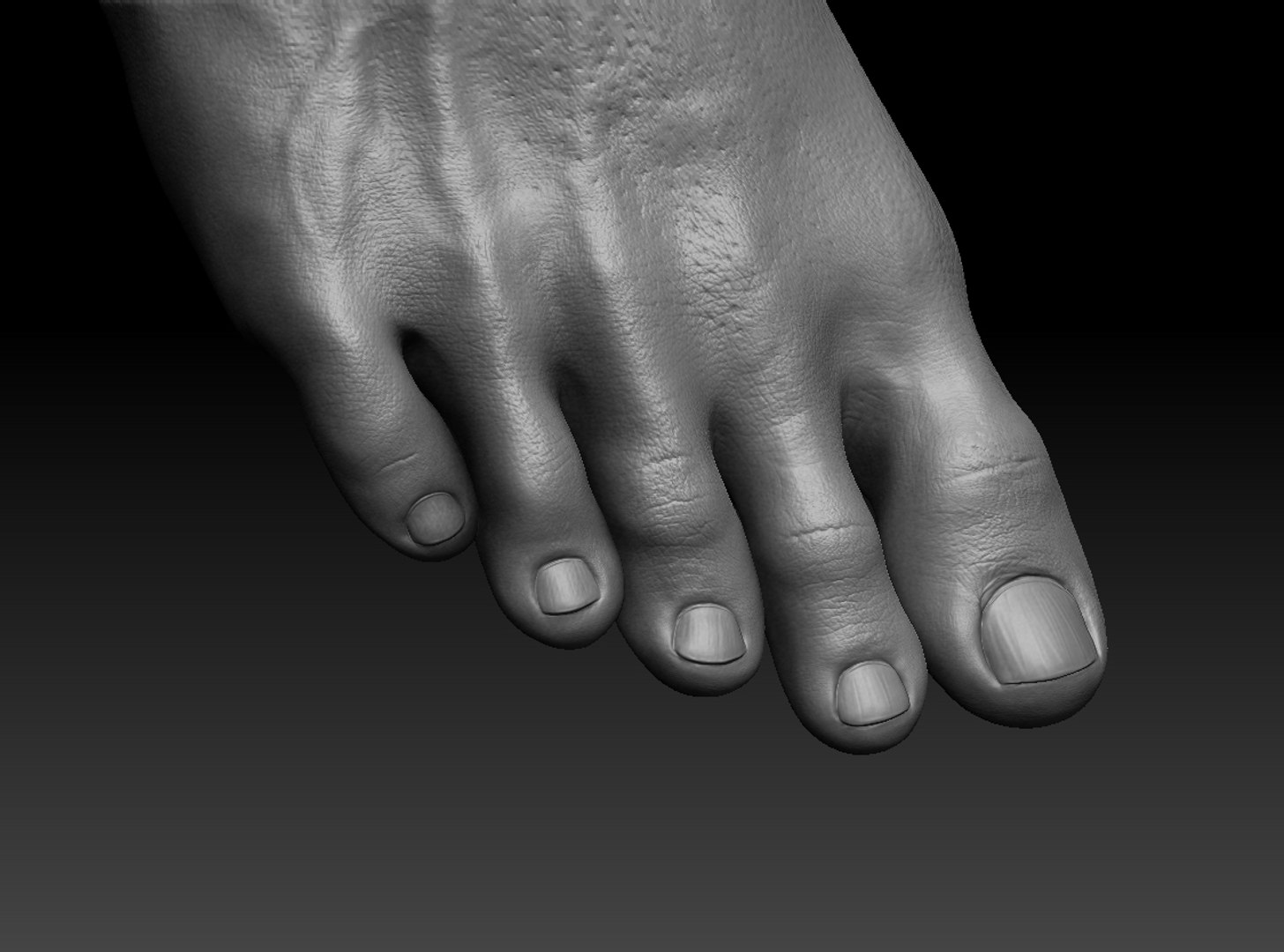 Zbrush Realistic Man Human 3D Model | 1145063 | TurboSquid