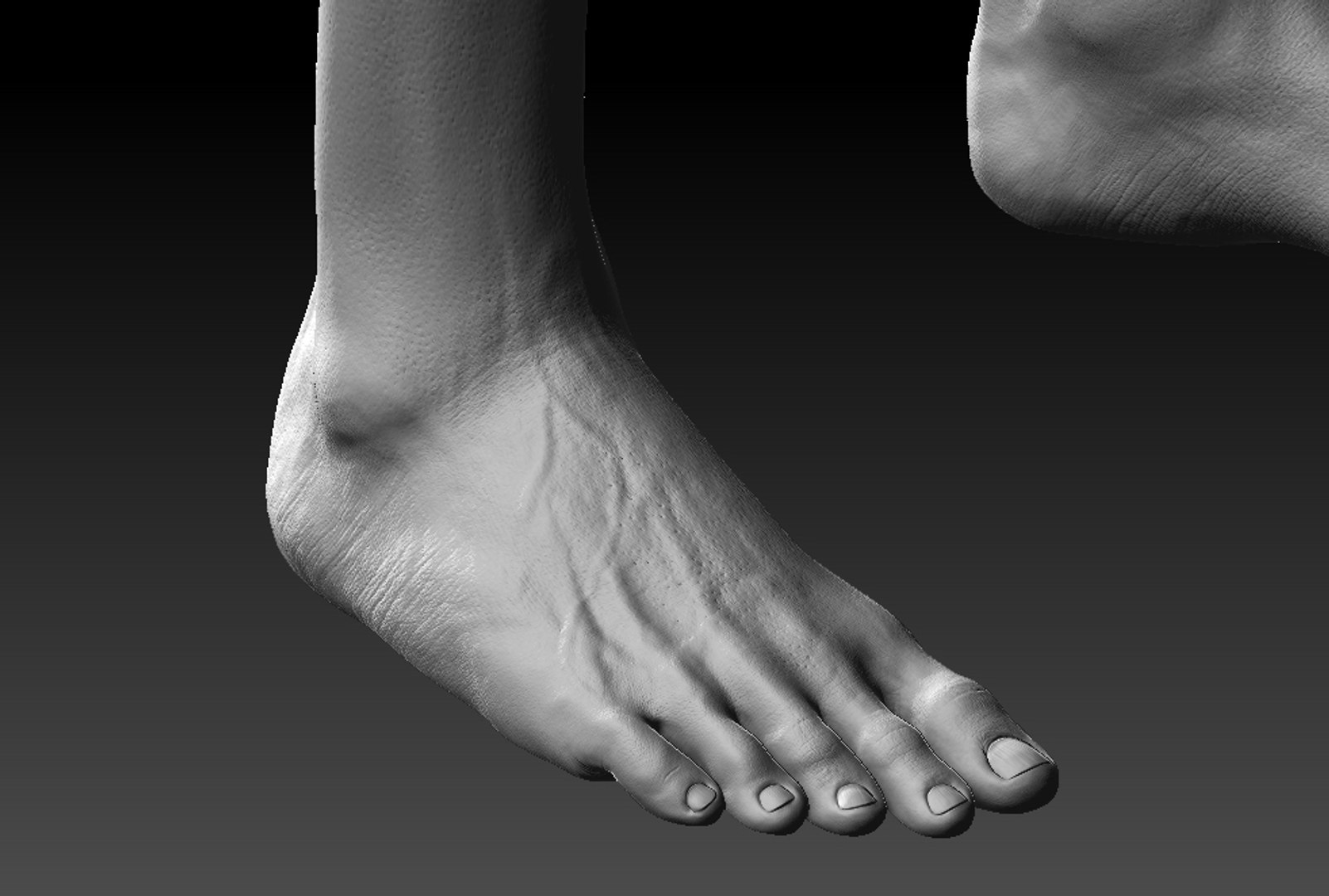 Zbrush Realistic Man Human 3D Model | 1145063 | TurboSquid