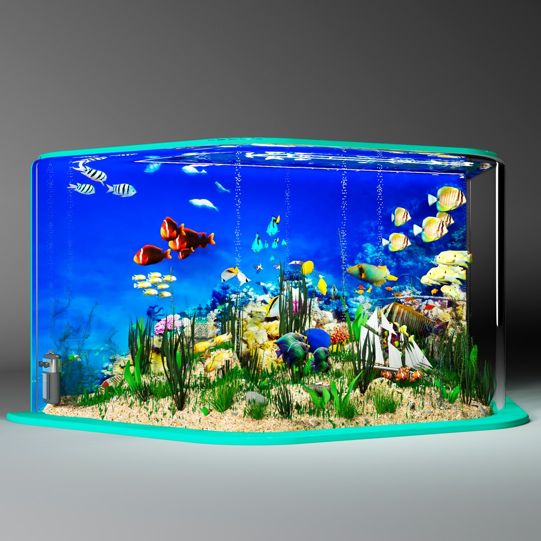 3D AQUARIUM - TurboSquid 1858337