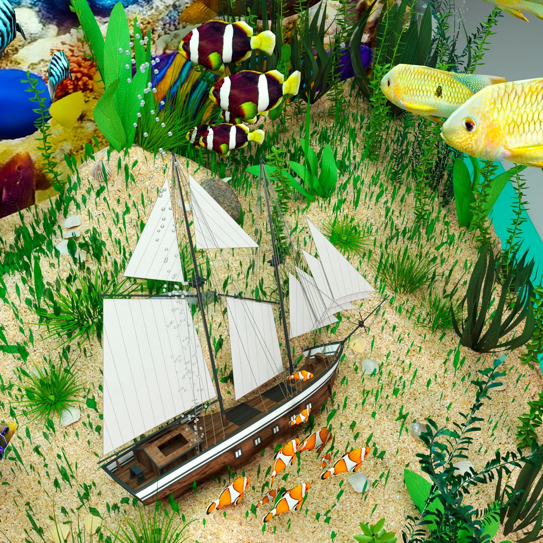 3D AQUARIUM - TurboSquid 1858337