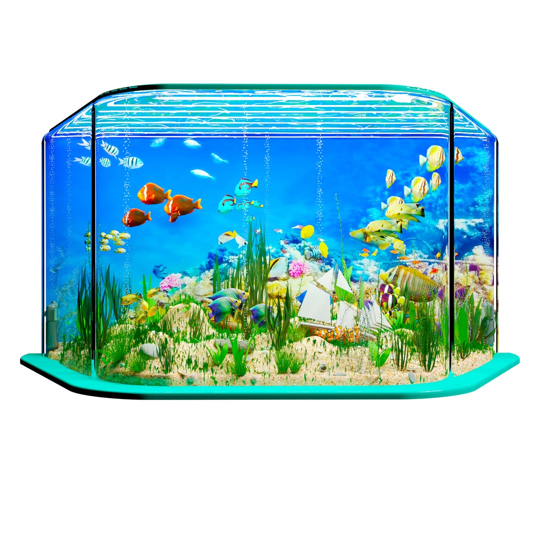 3D AQUARIUM - TurboSquid 1858337