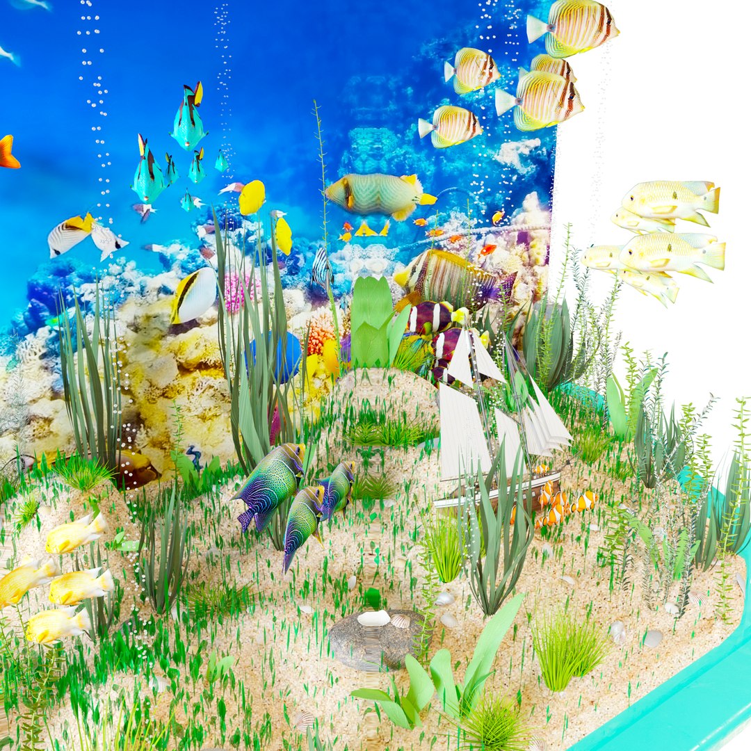 3D AQUARIUM - TurboSquid 1858337