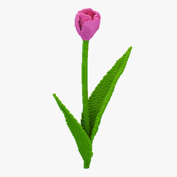modelo 3d Vóxel de tulipán - TurboSquid 2215633