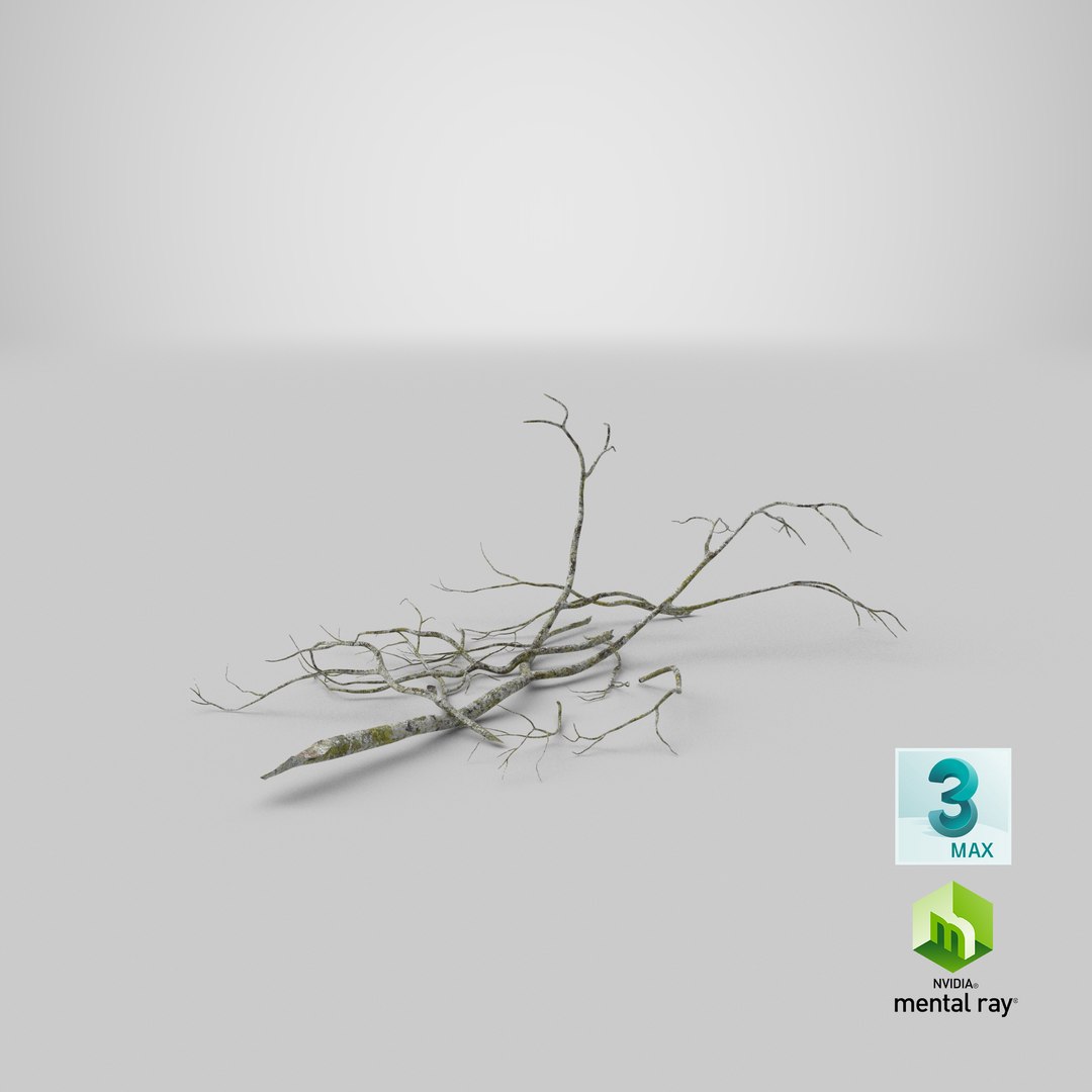 3D fallen-tree-branches-03 - TurboSquid 1348267