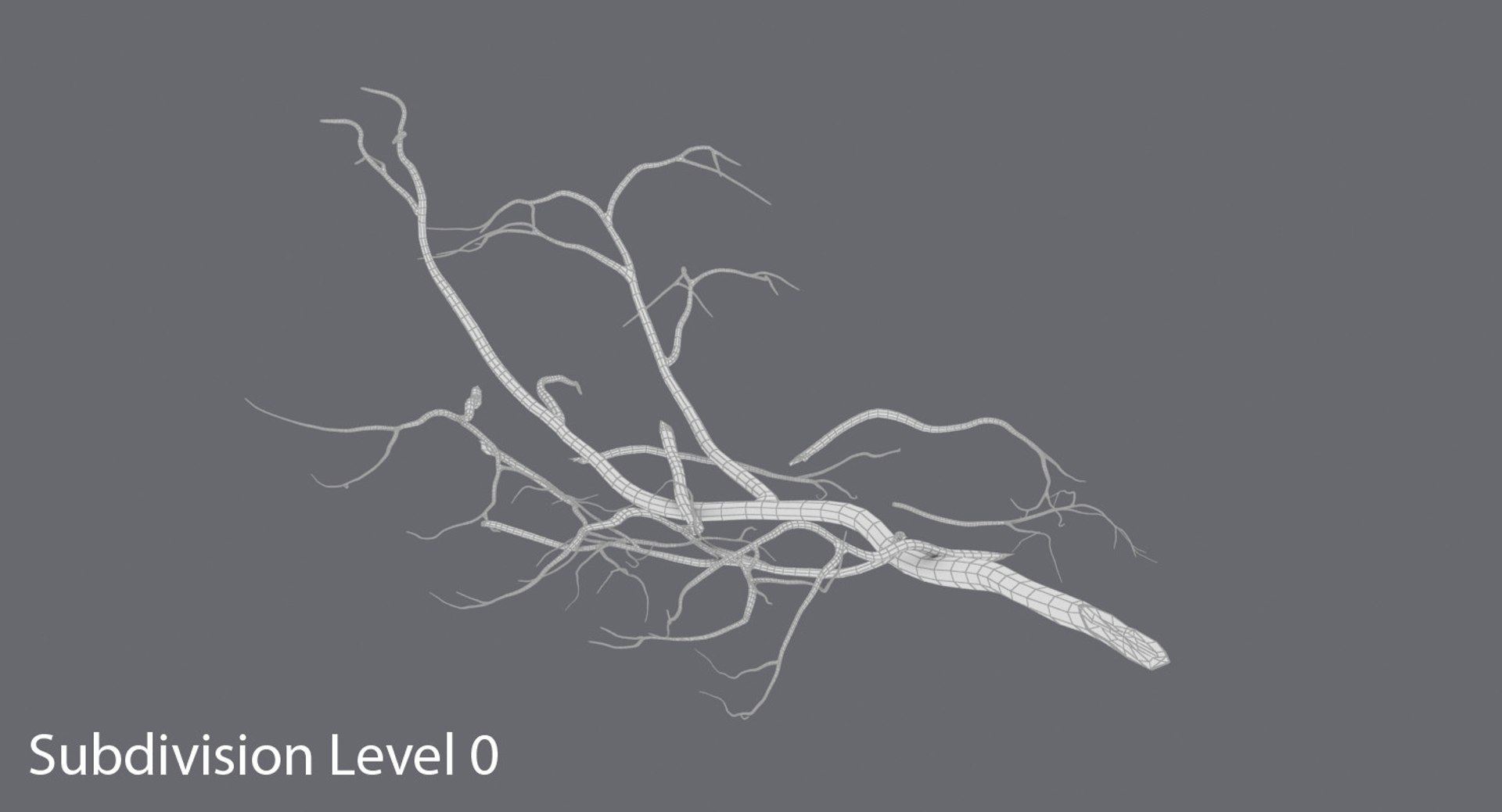 3D Fallen-tree-branches-03 - TurboSquid 1348267