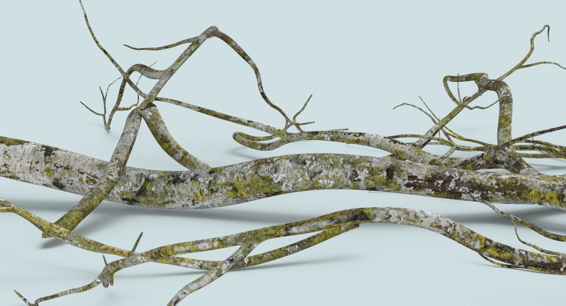 3D Fallen-tree-branches-03 - TurboSquid 1348267