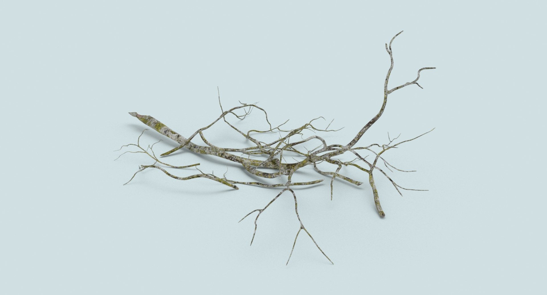 3D Fallen-tree-branches-03 - TurboSquid 1348267