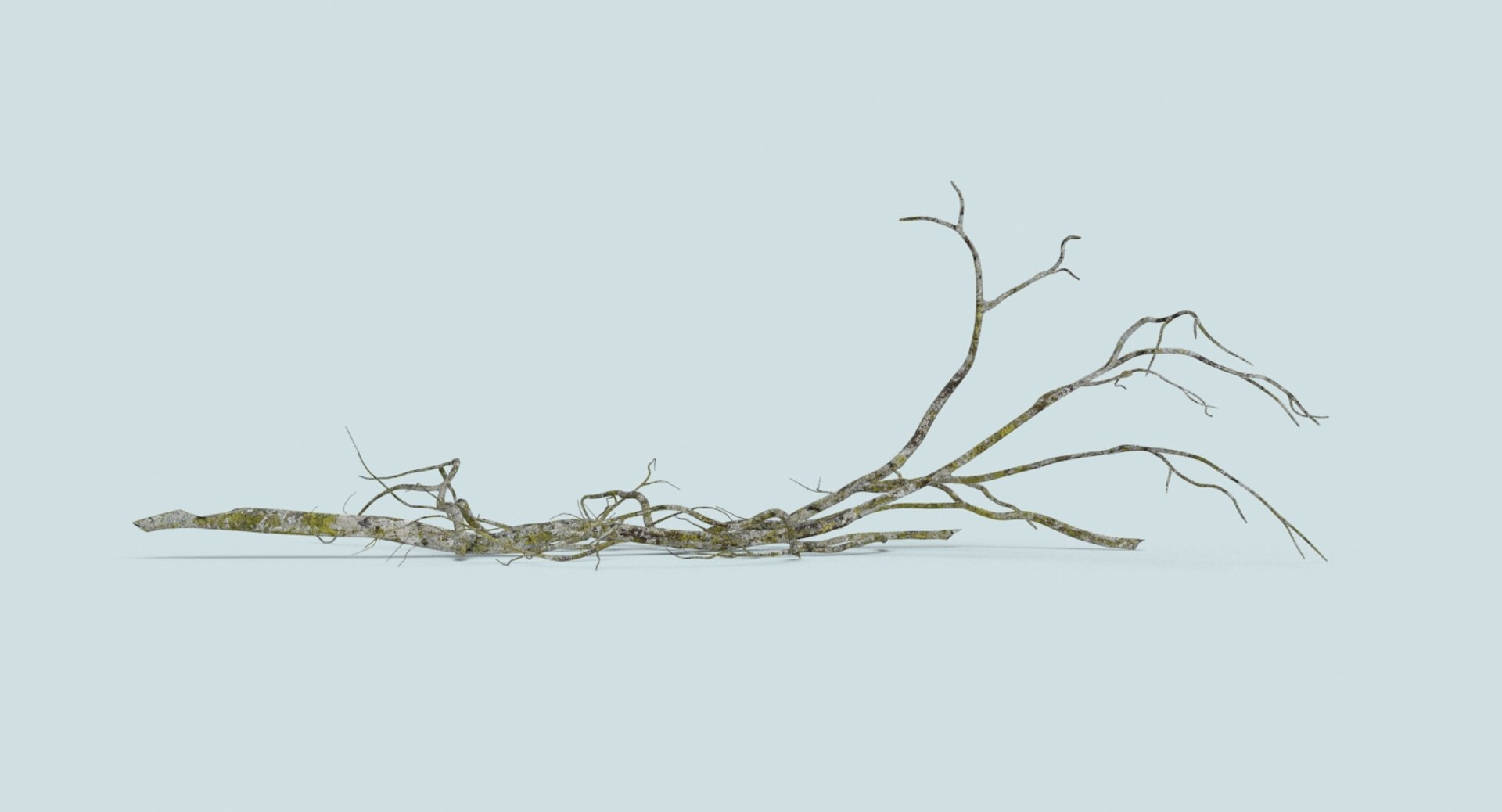 3D Fallen-tree-branches-03 - TurboSquid 1348267