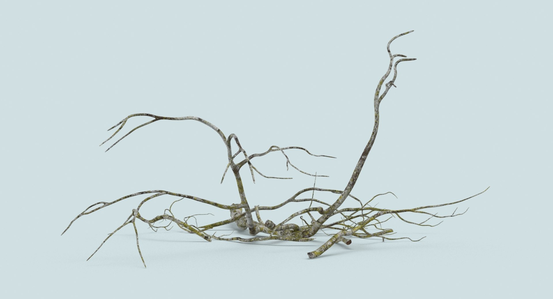 3D Fallen-tree-branches-03 - TurboSquid 1348267