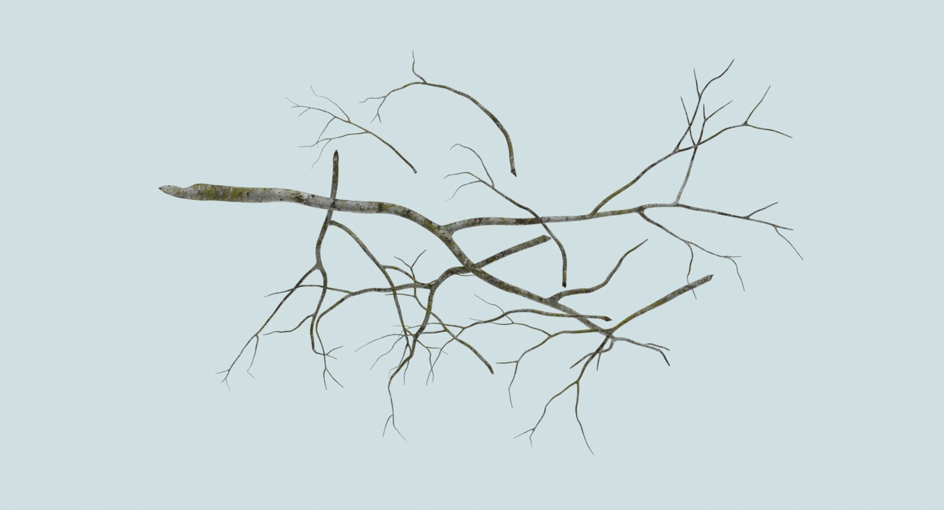 3D Fallen-tree-branches-03 - TurboSquid 1348267
