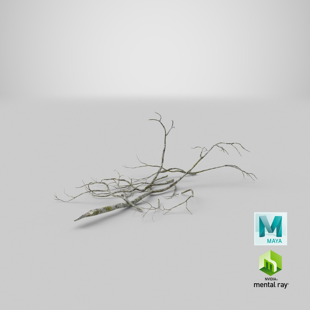 3D fallen-tree-branches-03 - TurboSquid 1348267