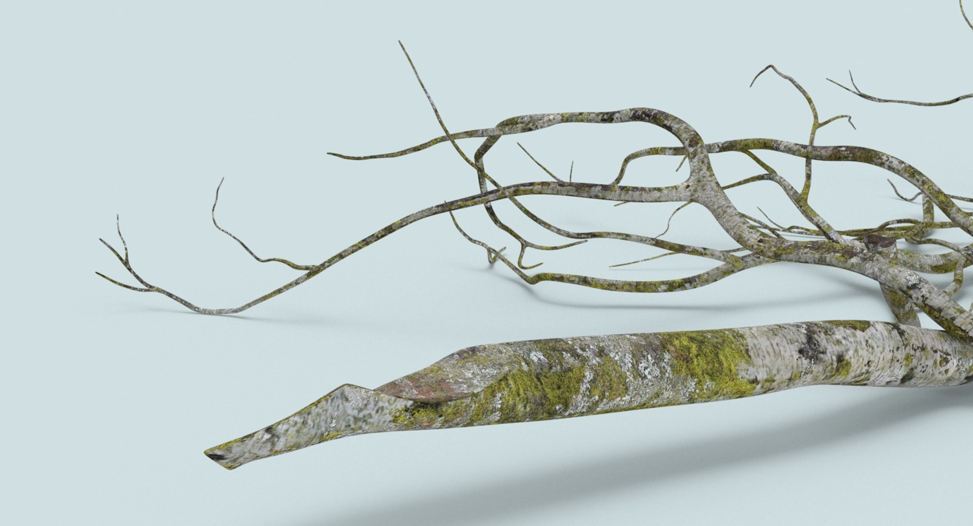 3D Fallen-tree-branches-03 - TurboSquid 1348267