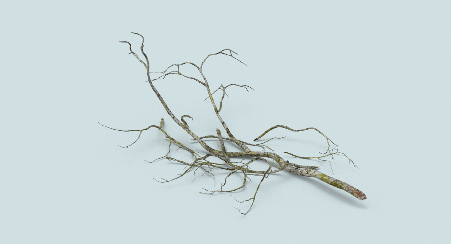 3D Fallen-tree-branches-03 - TurboSquid 1348267