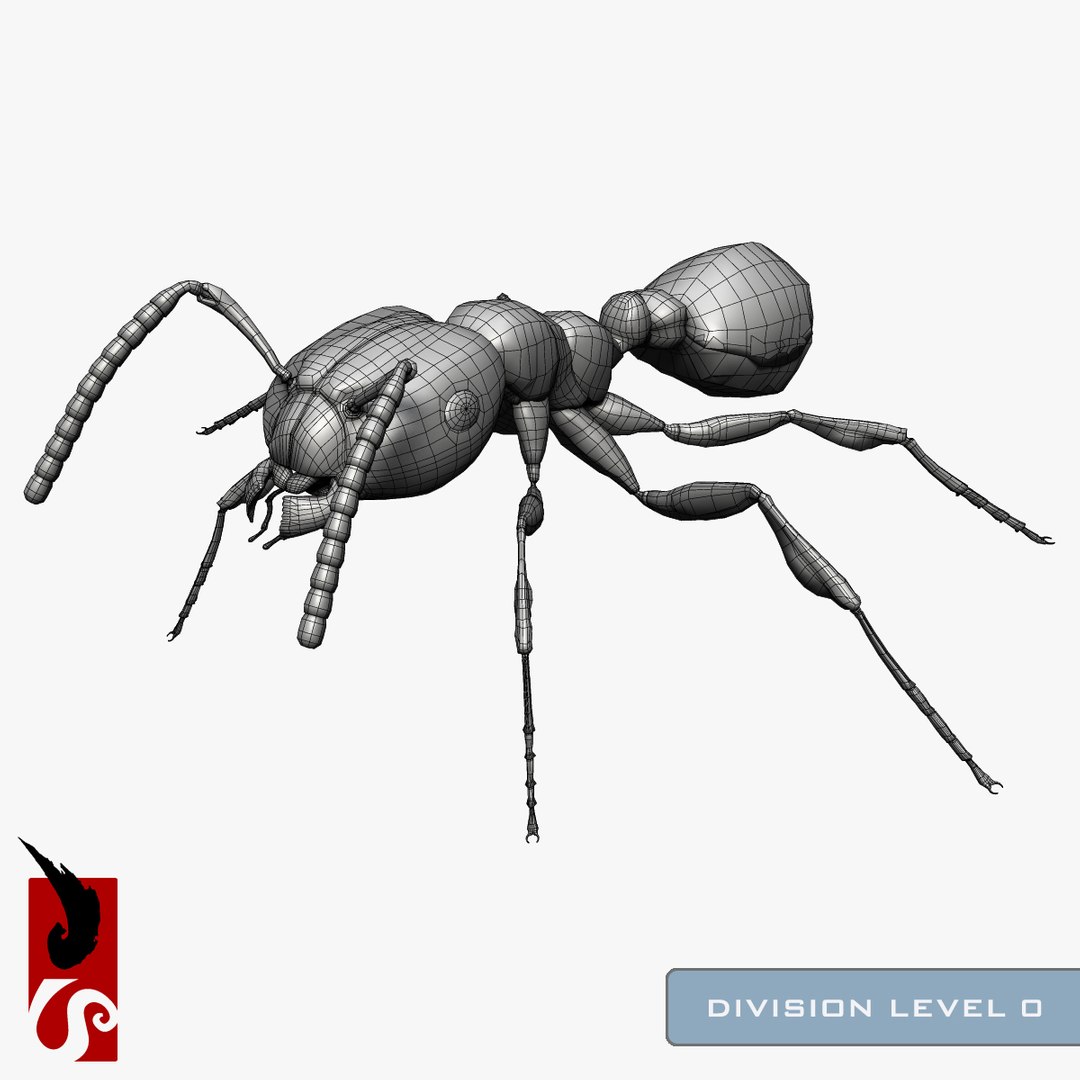 3d Model Red Ant - Solenopsis