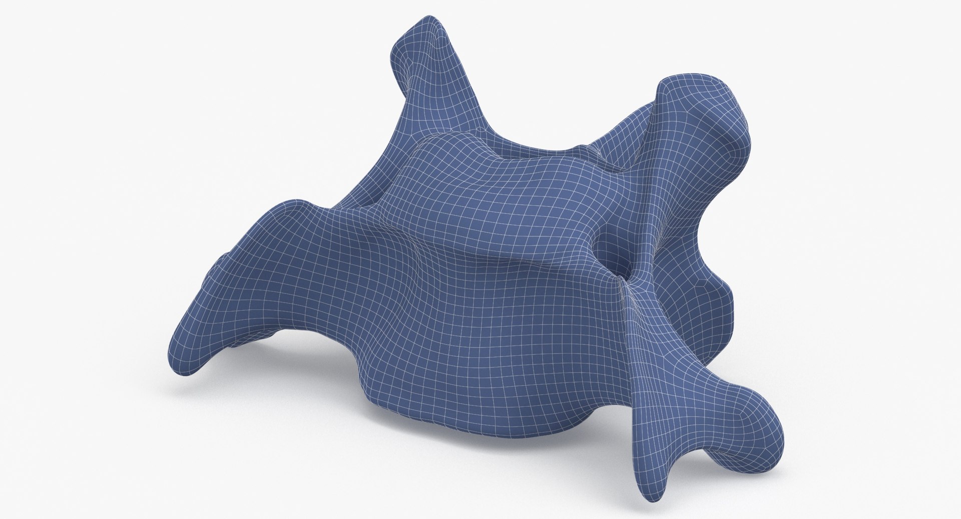 Bear Ursus Cervical Vertebrae C5 3D Model - TurboSquid 2163658