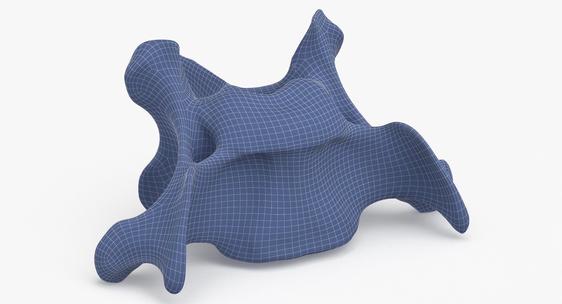 Bear Ursus Cervical Vertebrae C5 3D Model - TurboSquid 2163658