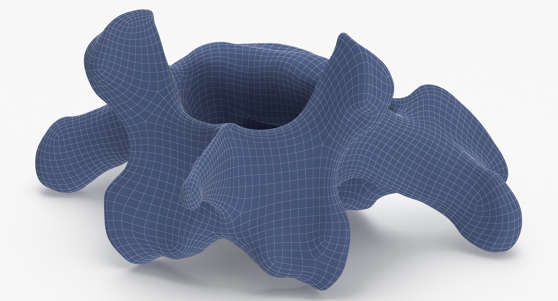 Bear Ursus Cervical Vertebrae C5 3D Model - TurboSquid 2163658