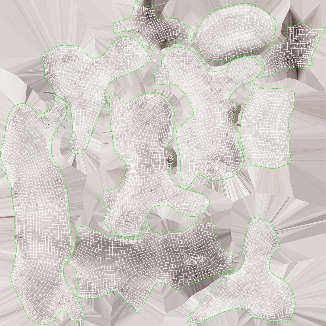 Bear Ursus Cervical Vertebrae C5 3D Model - TurboSquid 2163658