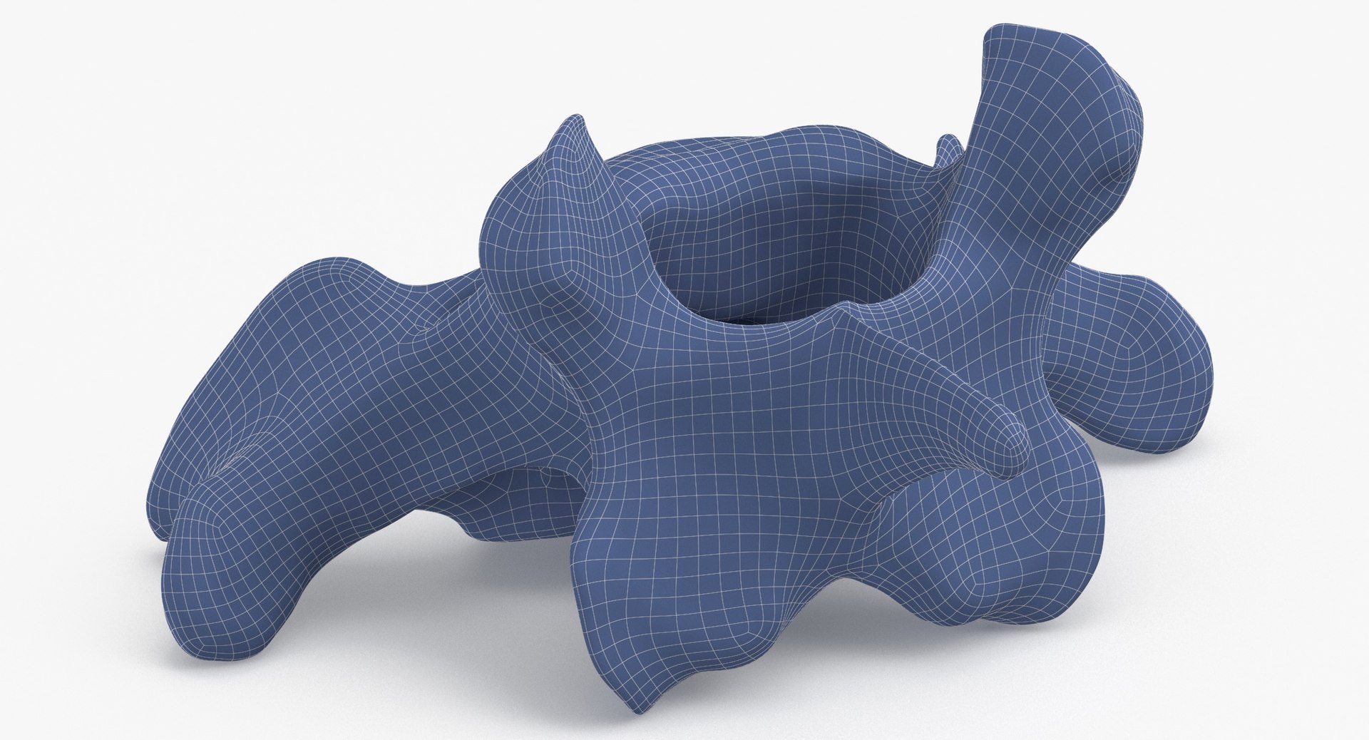 Bear Ursus Cervical Vertebrae C5 3D Model - TurboSquid 2163658