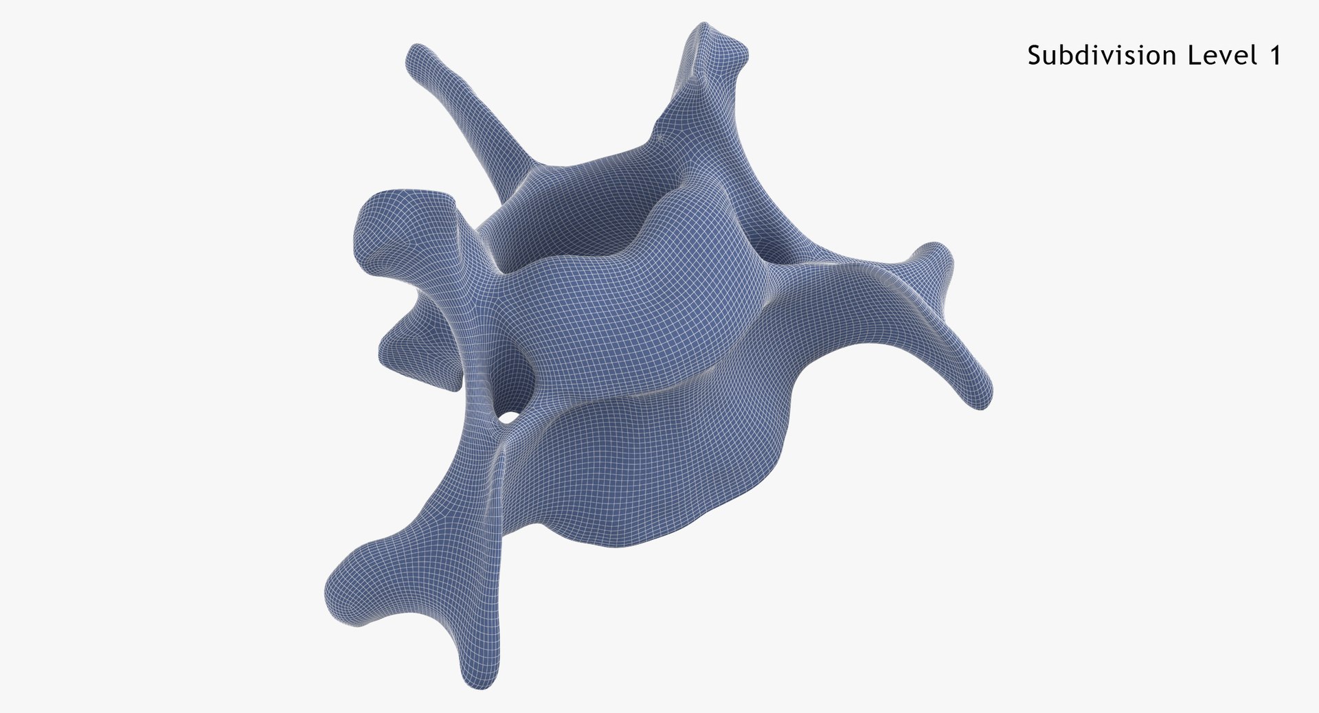 Bear Ursus Cervical Vertebrae C5 3D Model - TurboSquid 2163658